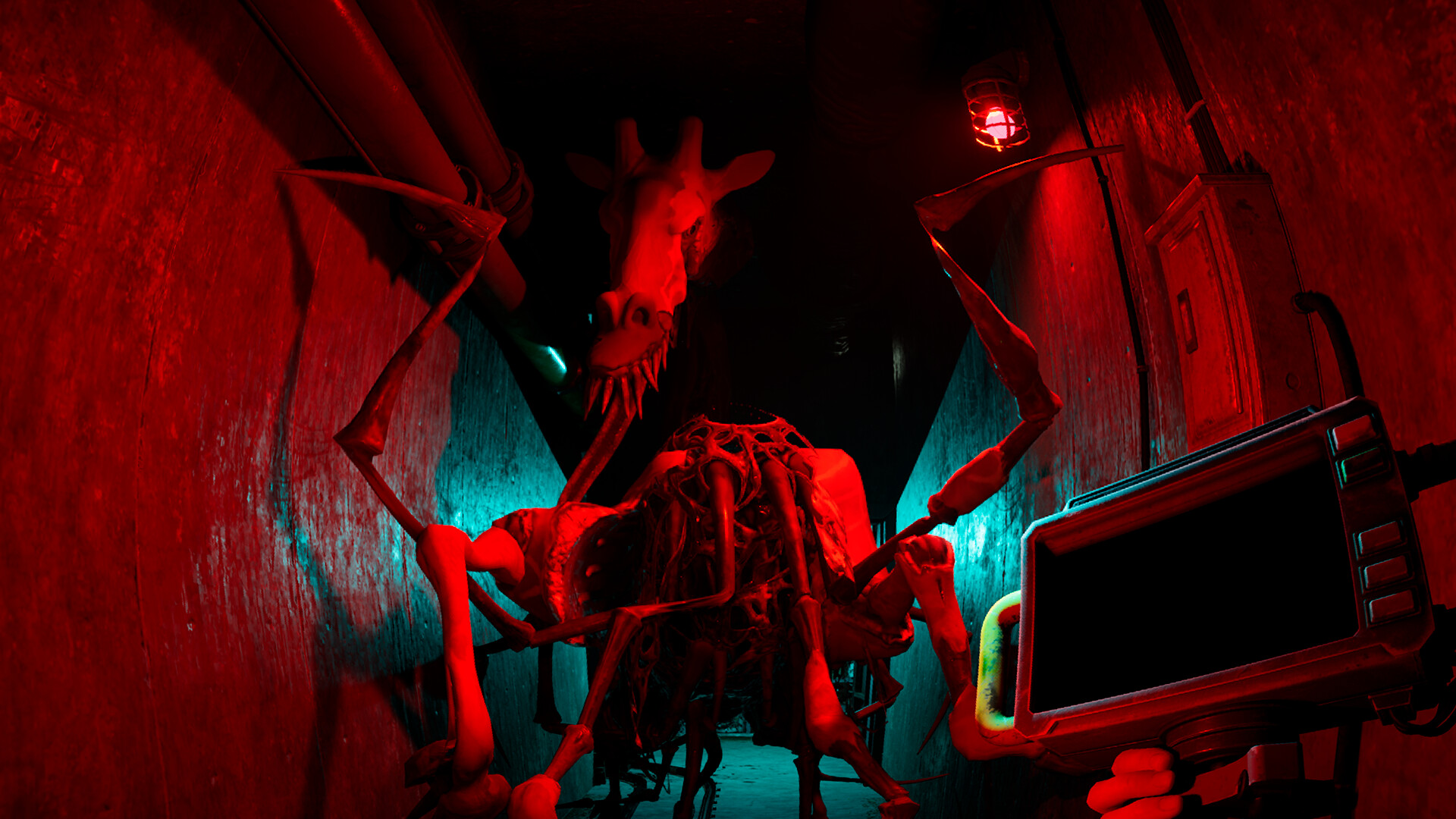 Zoochosis será lançado em 23 de setembro para PC - Web Rádio PQP